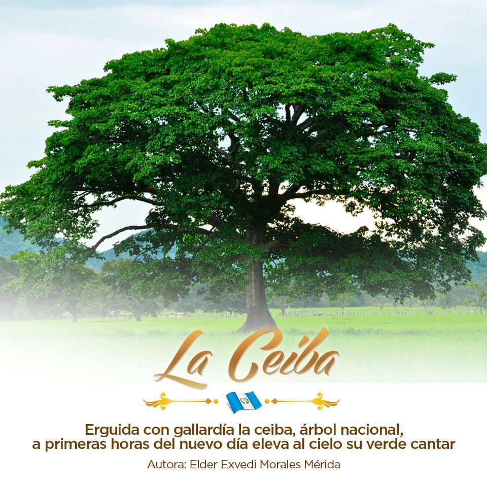 Significado De Los S%c3%admbolos Patrios De Guatemala - Infoupdate.org