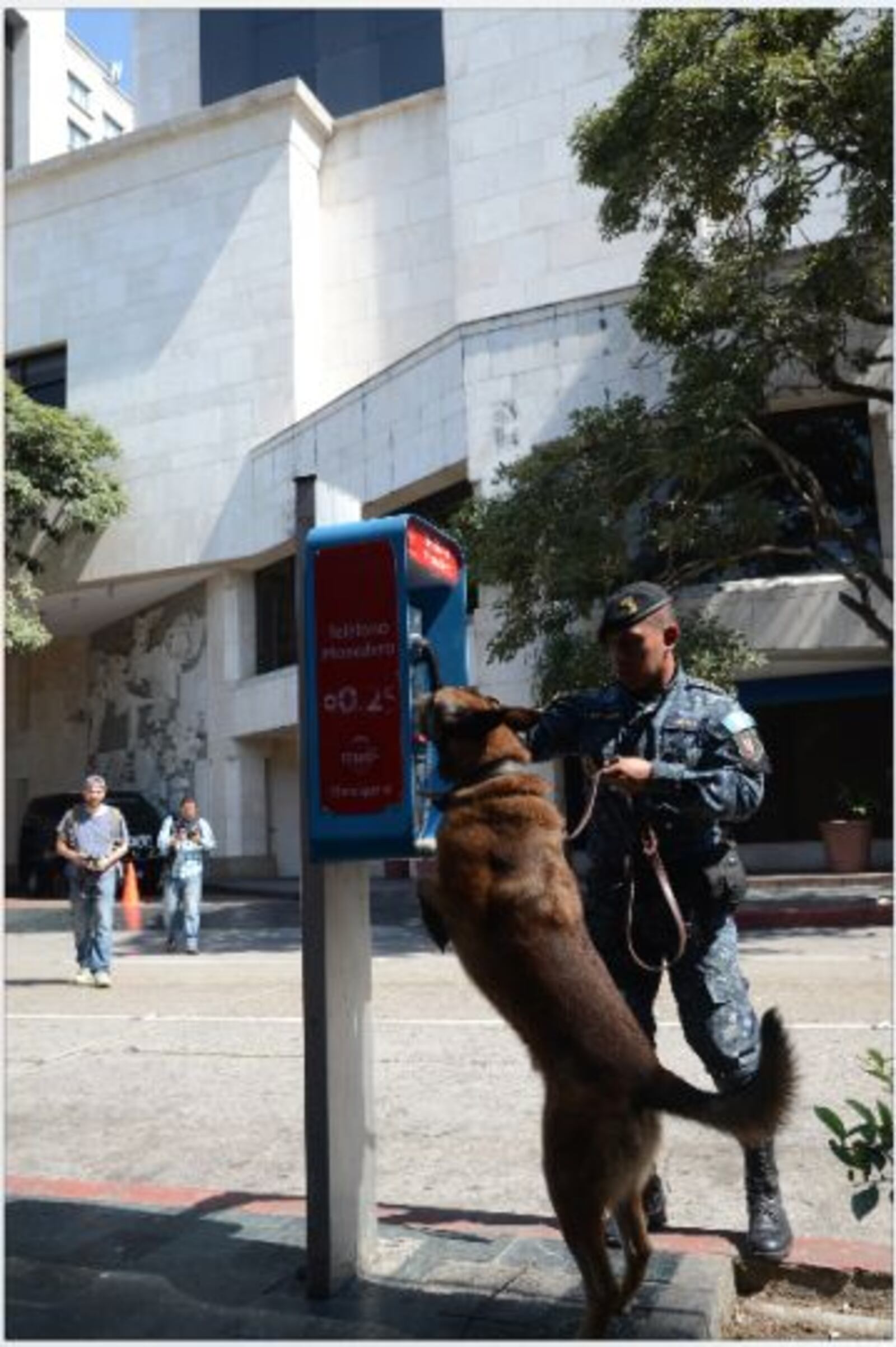 El perro Spyke también resguardó a la Selección de Estados Unidos ...