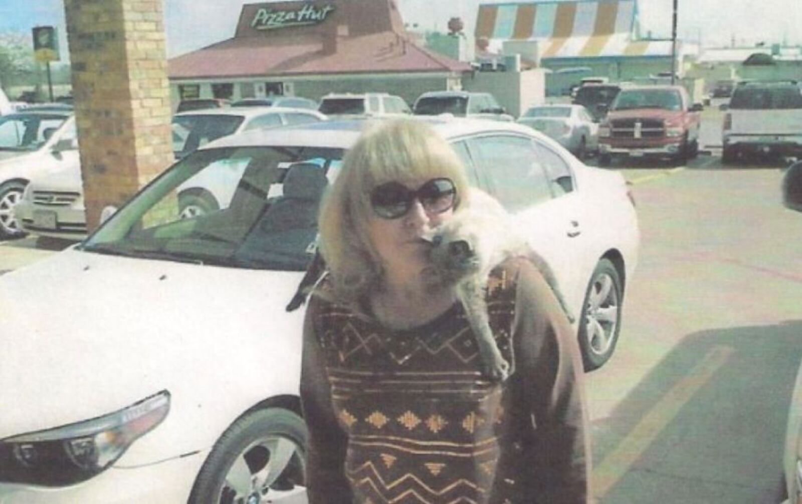 Animales: Por esta razón este gato logró un récord Guinness – Publinews