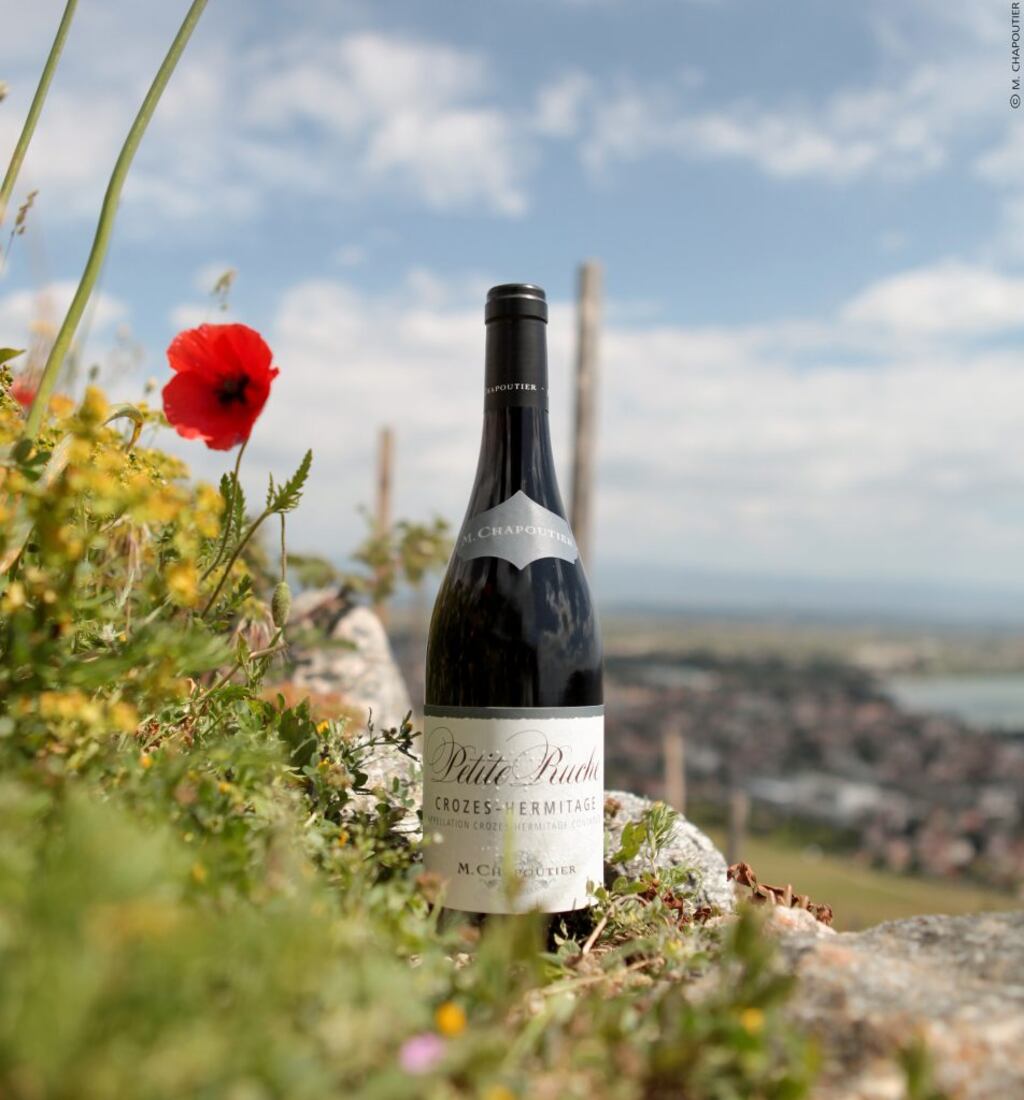 ¿Sabías que hoy es el Día mundial del Syrah? Te contamos de qué se ...