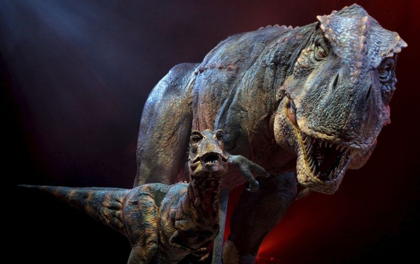 Infografía: Los mejores dinosaurios jurásicos – Publinews Infografía: Los mejores dinosaurios jurásicos – Publinews