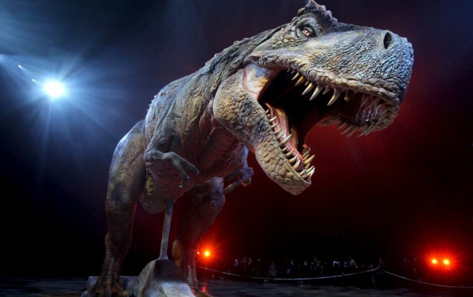 Infografía: Los mejores dinosaurios jurásicos – Publinews Infografía: Los mejores dinosaurios jurásicos – Publinews