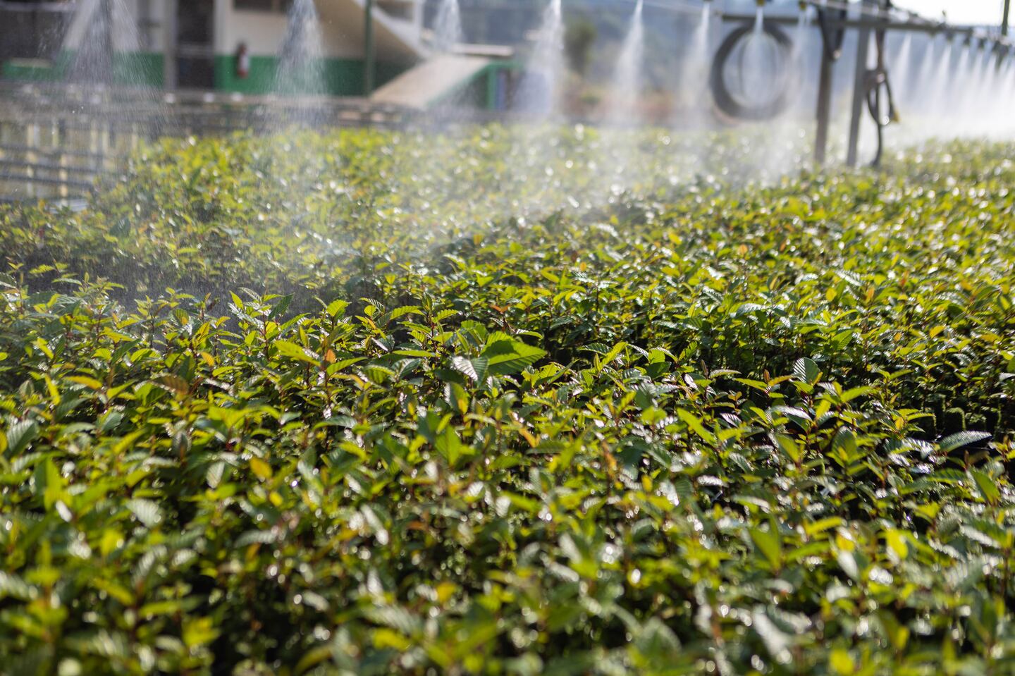 AgroProgreso: Innovación y compromiso para un futuro verde – Publinews