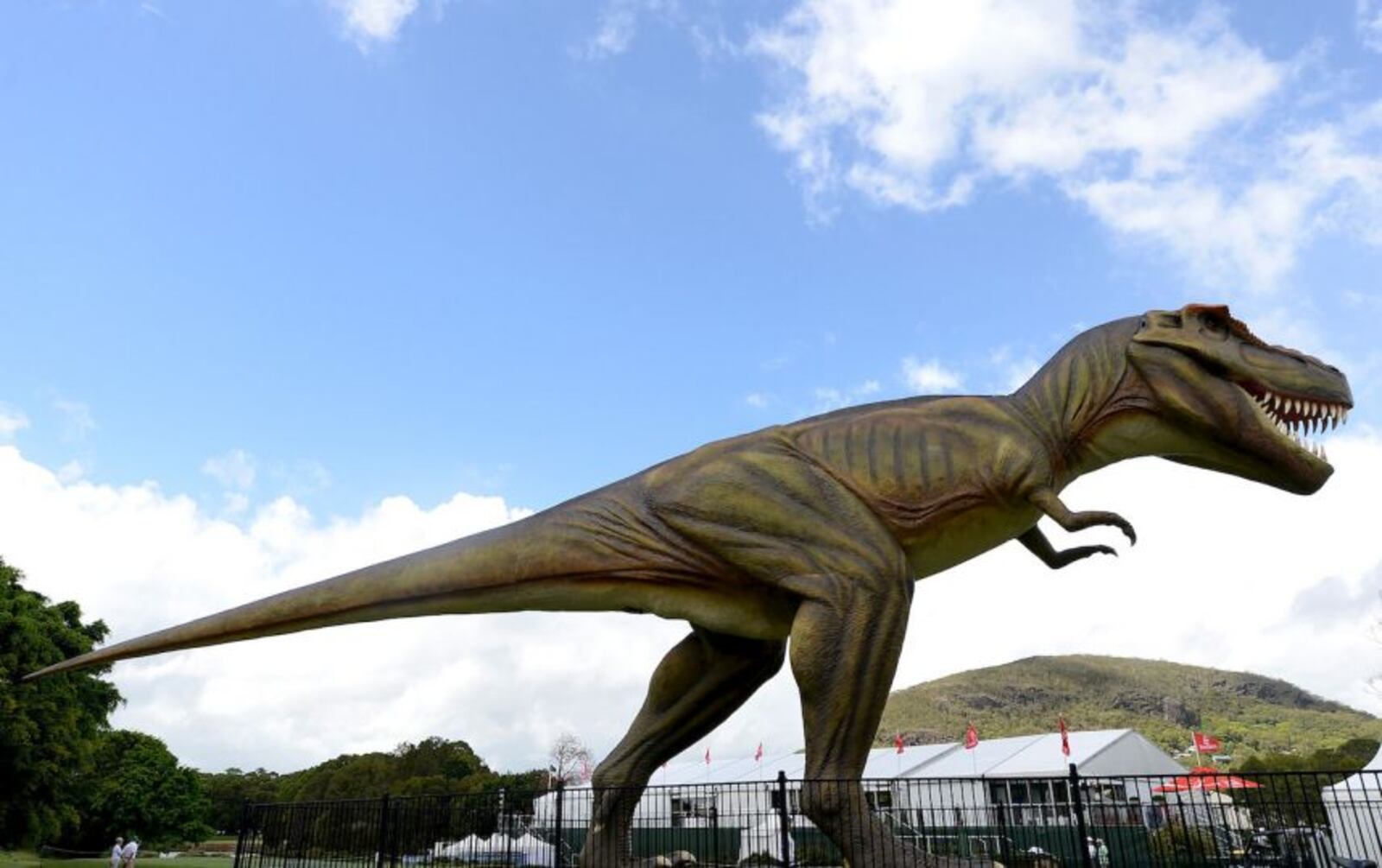 Infografía: Los mejores dinosaurios jurásicos – Publinews Infografía: Los mejores dinosaurios jurásicos – Publinews