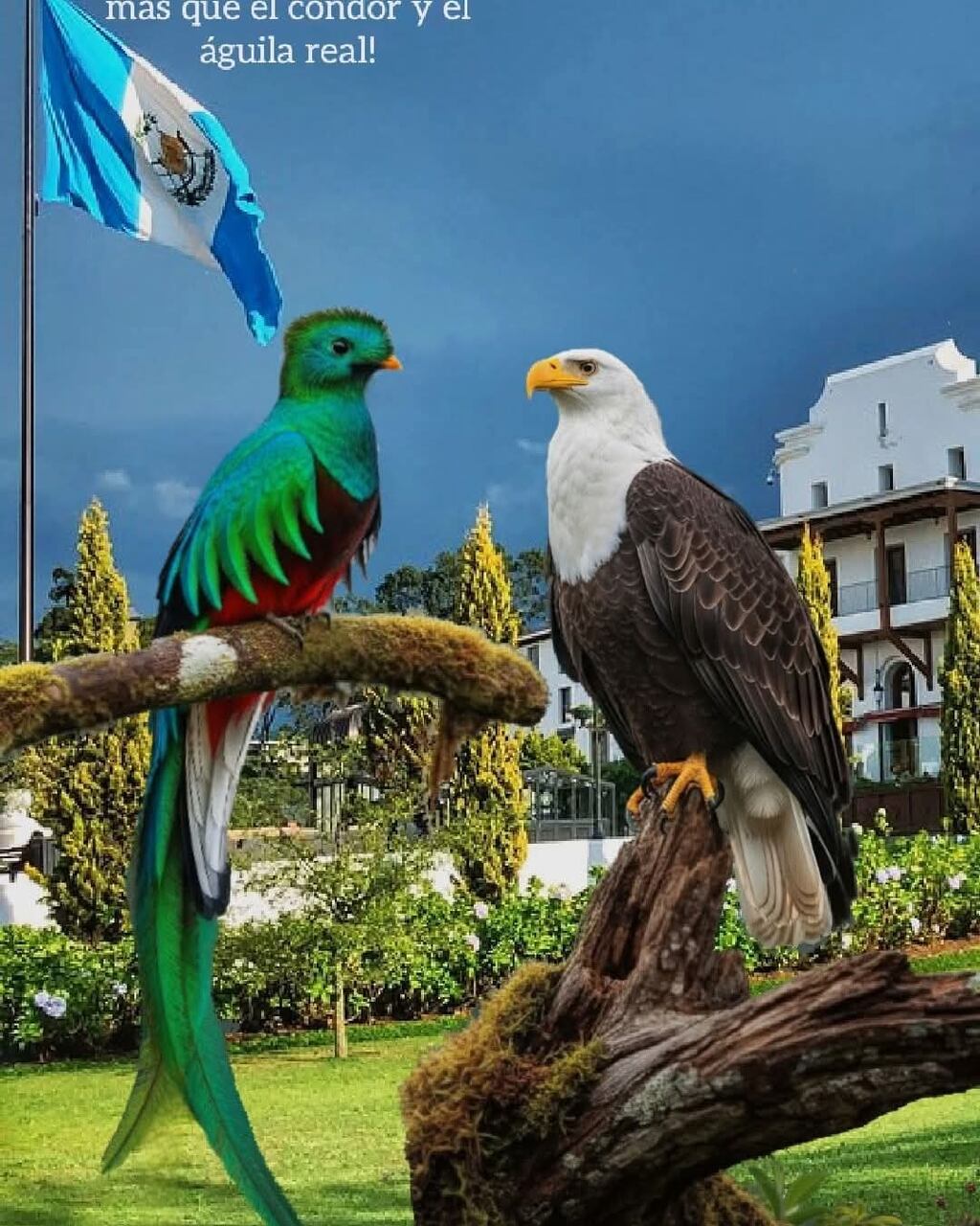 Memes Guatemala vs. EE. UU.: Humor Chapín Viral – Publinews