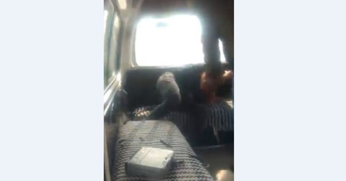 VIDEO. Pasajeros dan brutal golpiza a presunto ladrón; jura que ... VIDEO. Pasajeros dan brutal golpiza a presunto ladrón; jura que ...