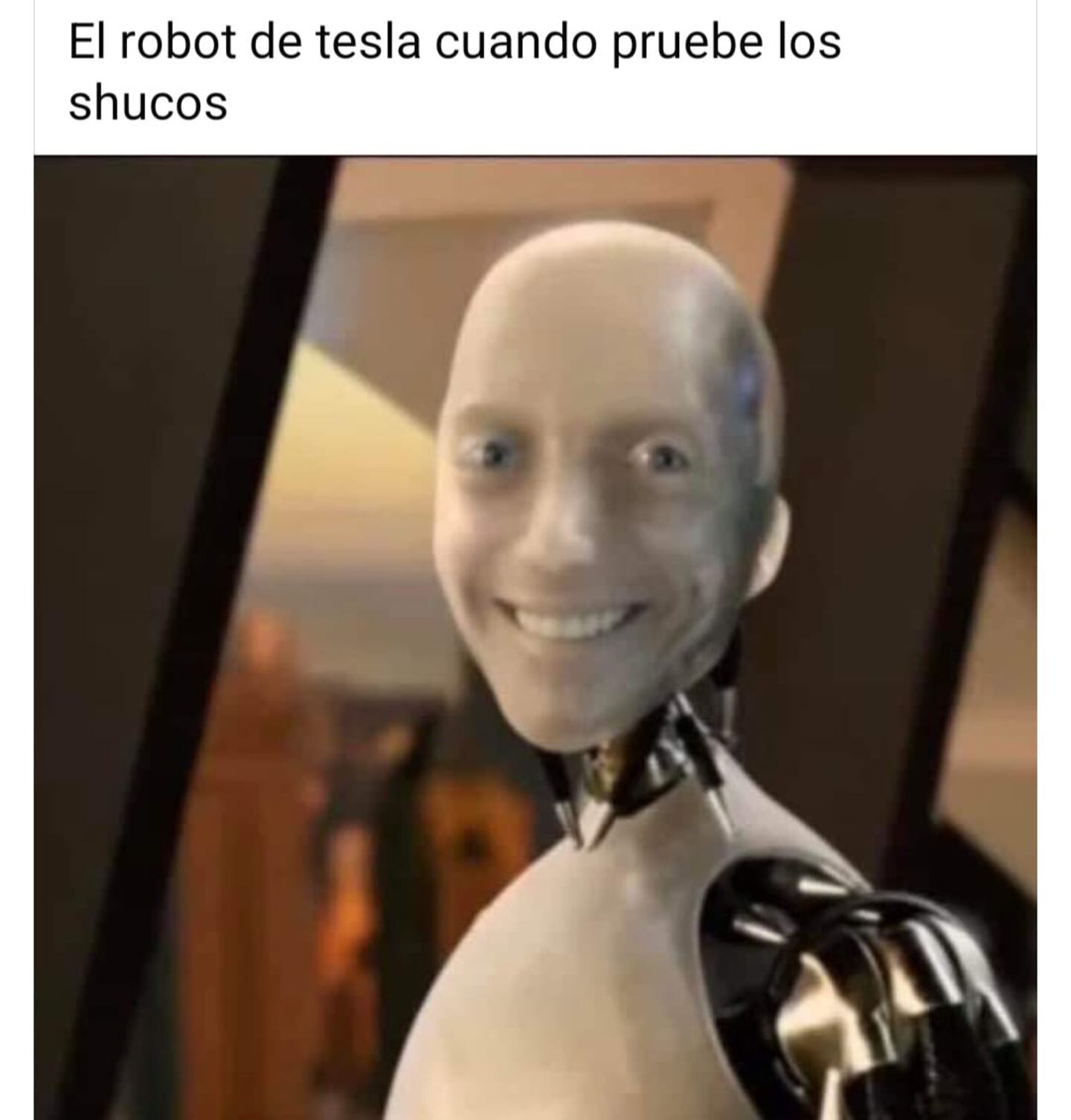 Recopilación de los mejores memes del robot Tesla y que aseguran las ...