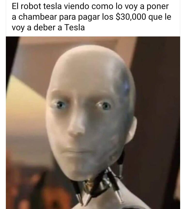 Recopilación de los mejores memes del robot Tesla y que aseguran las ...