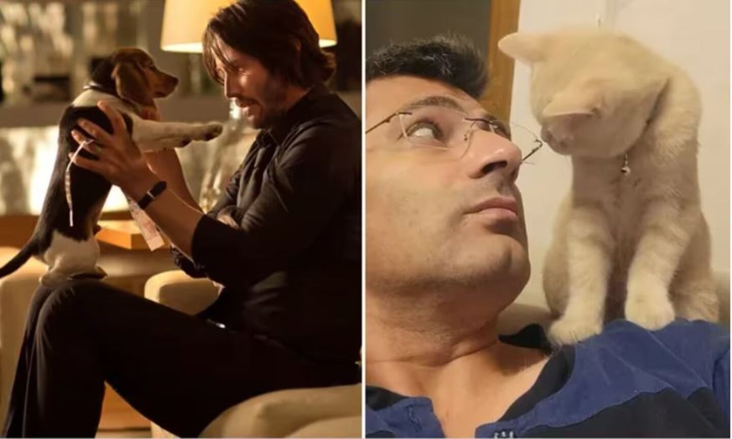 El tirador turco en los Olímpicos y la historia de su gato – Publinews